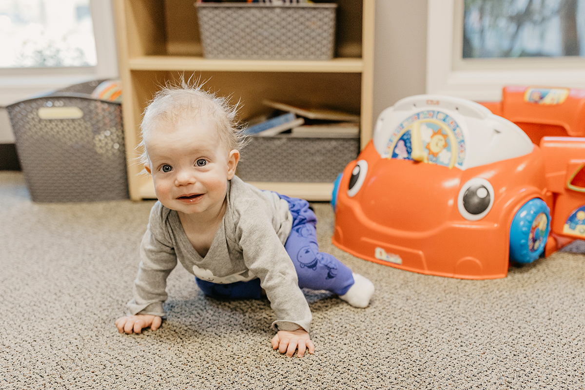 Seedling Room – The Growing Tree