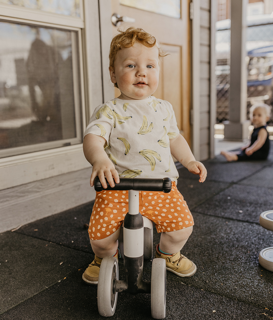 Our Goals – The Growing Tree