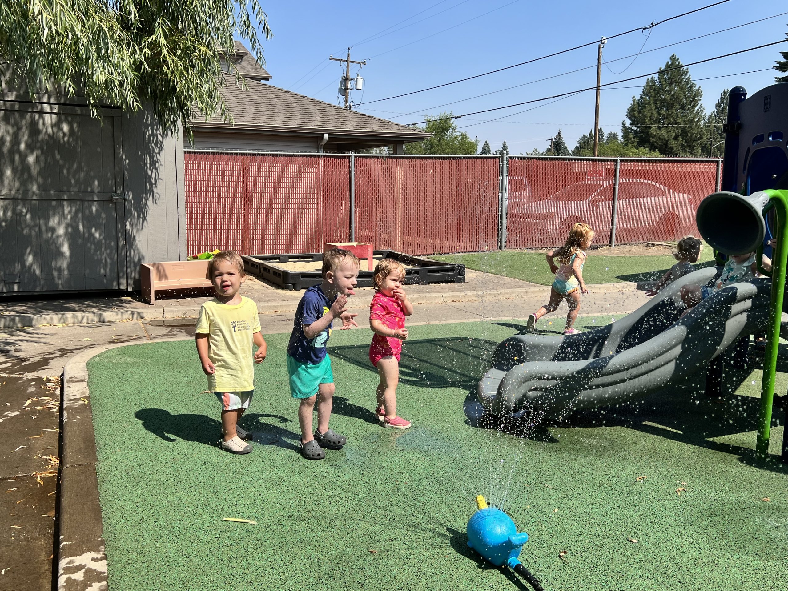 August Sprout 2 News – The Growing Tree