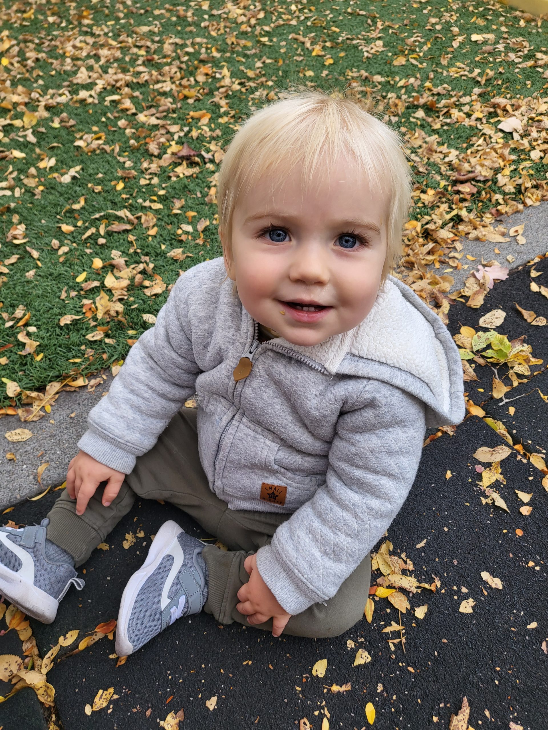November Big Seed News – The Growing Tree