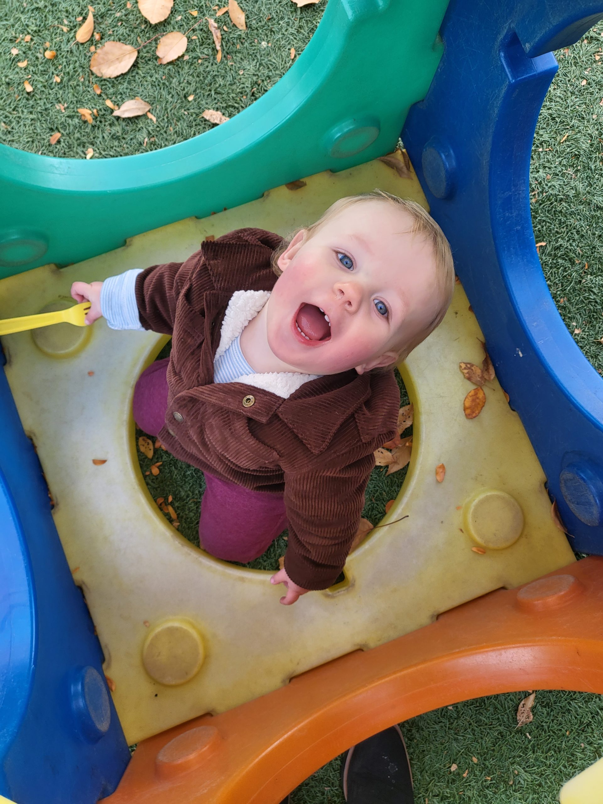 November Big Seed News – The Growing Tree