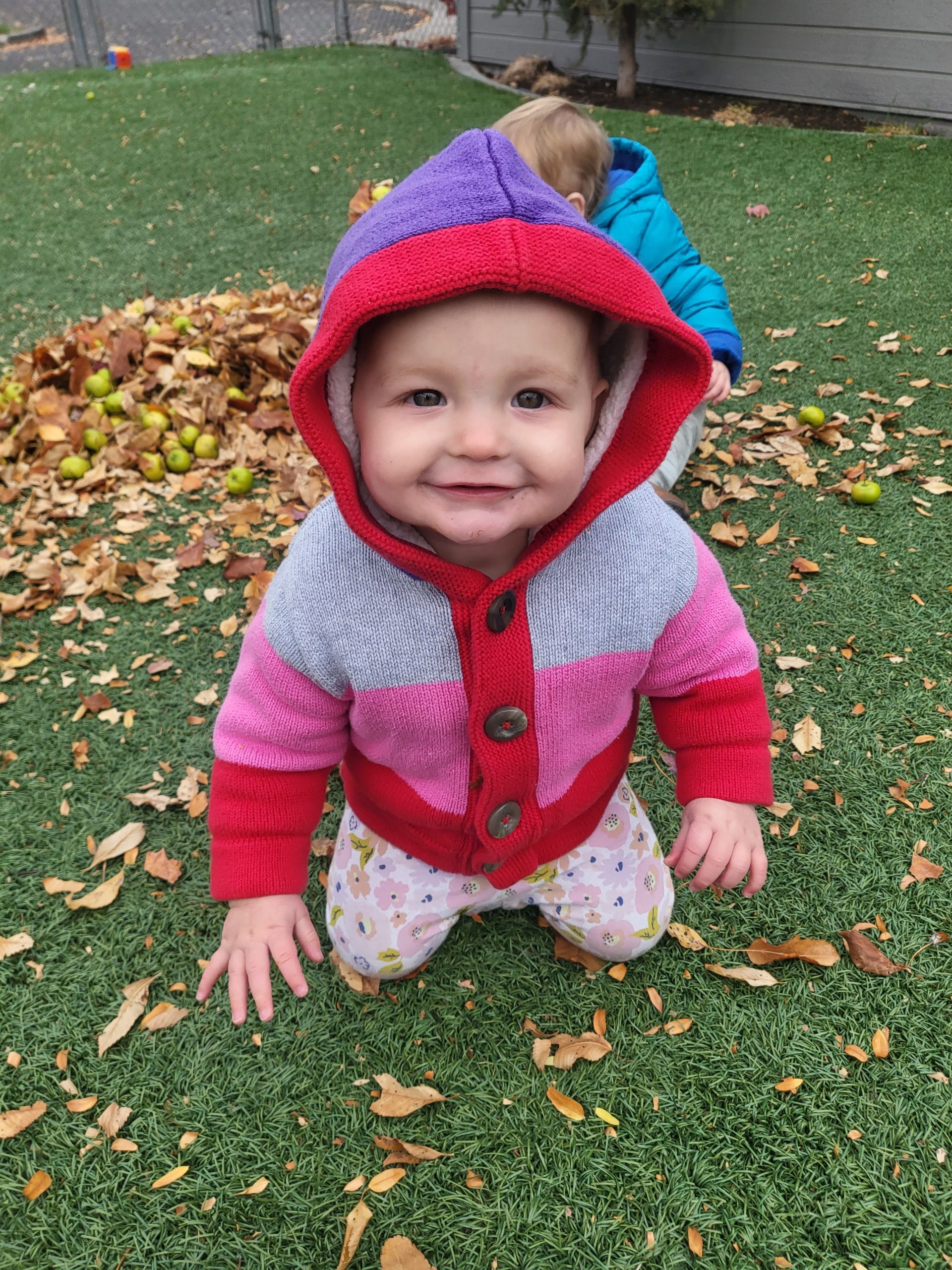 November Big Seed News – The Growing Tree