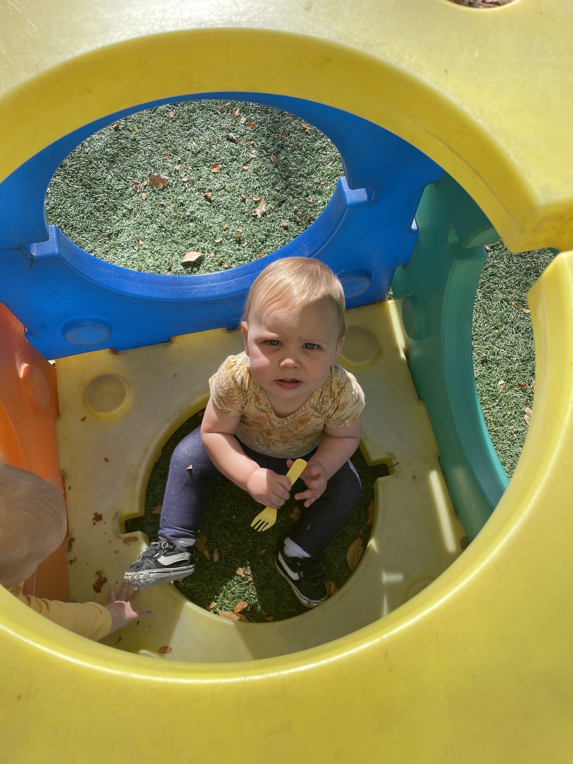 November Big Seed News – The Growing Tree