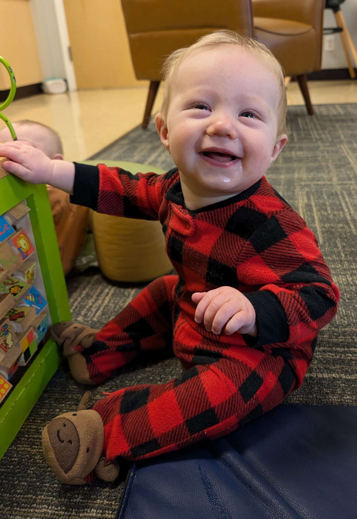 2025 January Seedling News – The Growing Tree