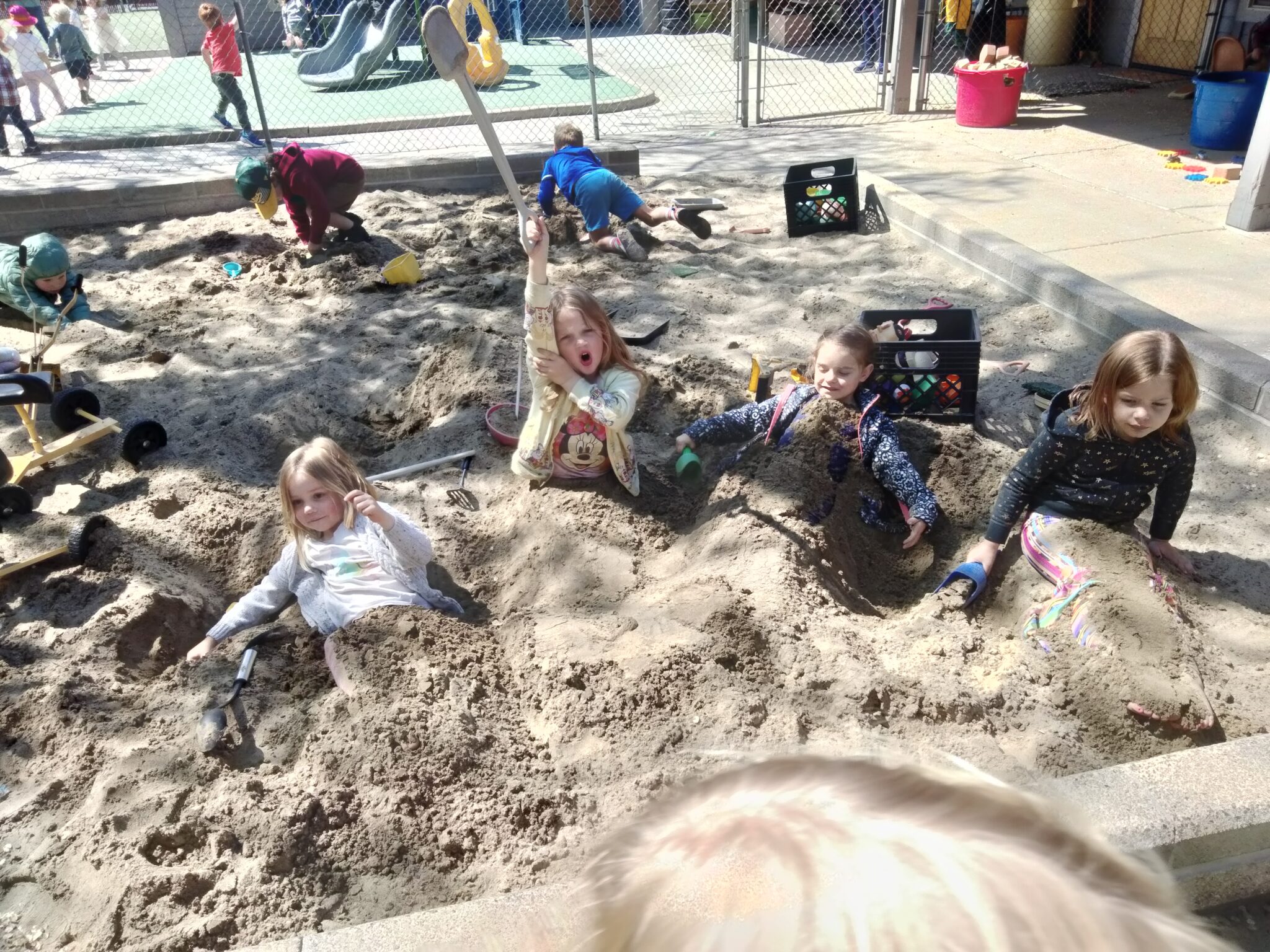 2025 June Blossom News – The Growing Tree